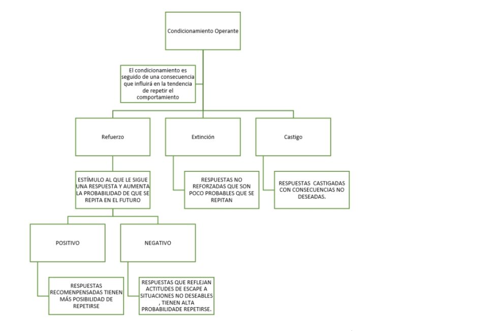 La caja de Skinner | AMADAG