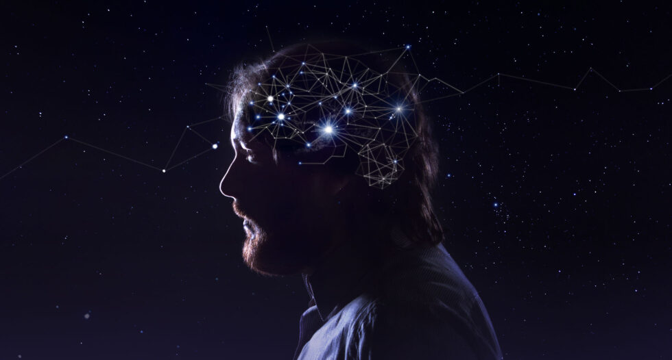 La red neuronal por defecto | AMADAG